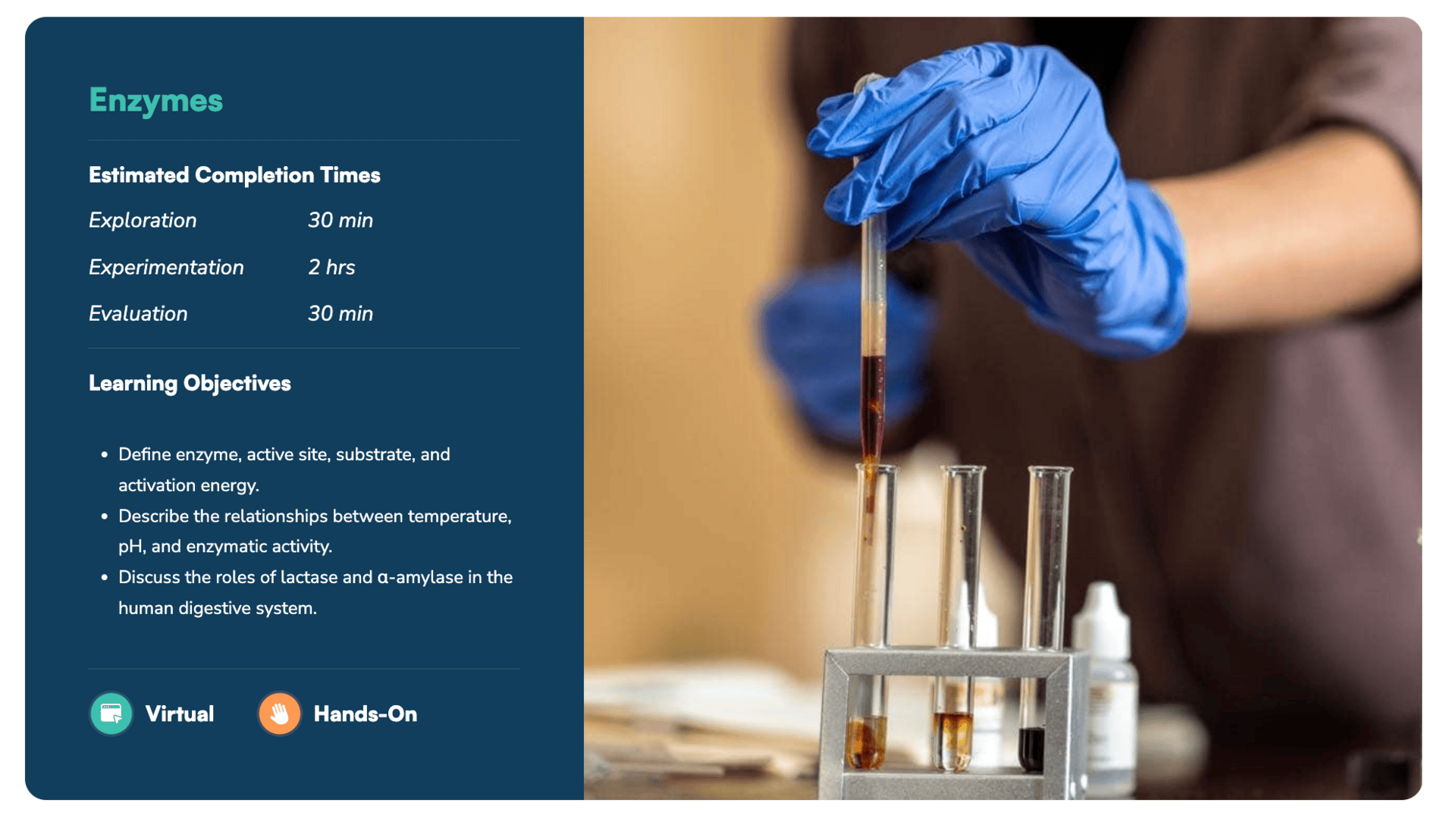 College Biology Labs in Action: Hands-On & Virtual Biology Labs